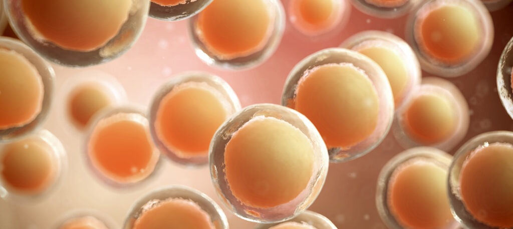 Oocyte Donation - Embryo Clinic